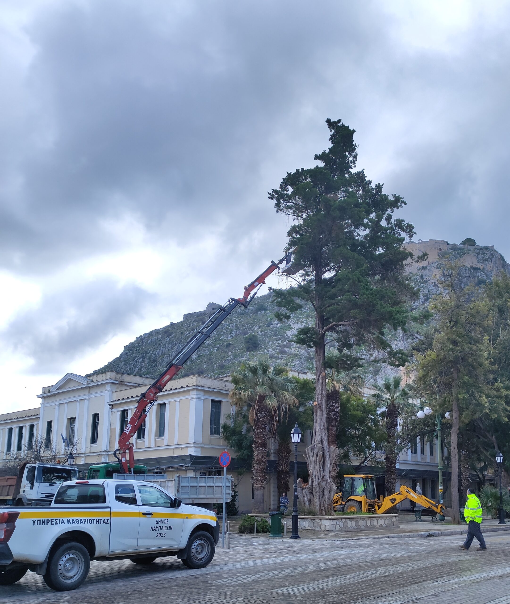 ΝΑΥΠΛΙΟ : Ο μοναδικός Κέδρος της Αργολίδας πεθαίνειΝΑΥΠΛΙΟ : - Εδώ ...